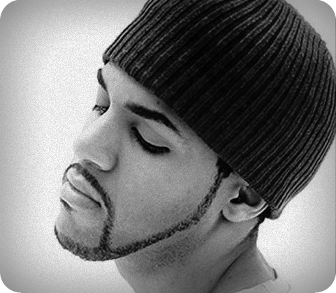 LES STYLES DE BARBE - BARBEDEVIKING.FR